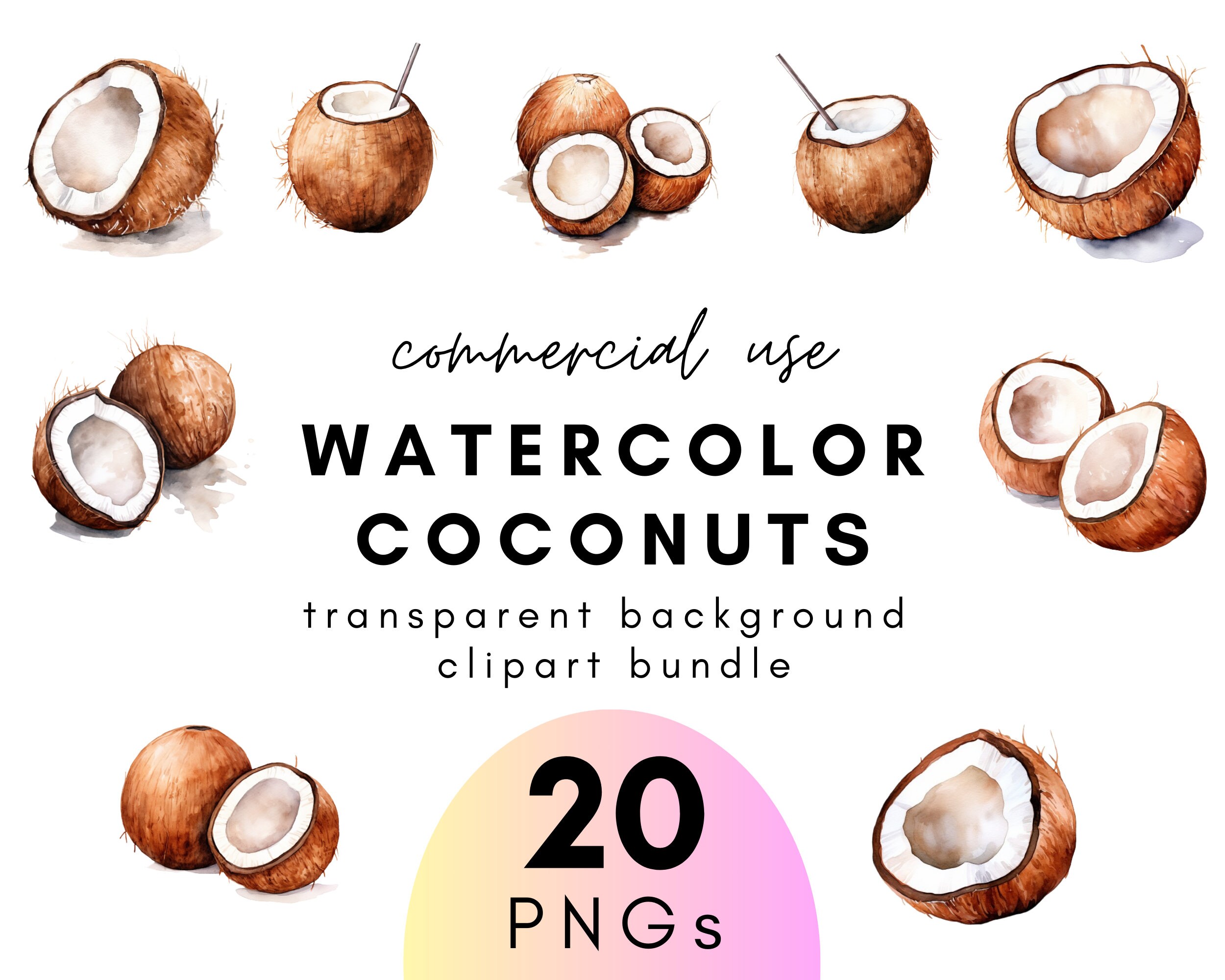 Tropical Watercolor Coconut Clipart- 10 Transparent Background PNG ...