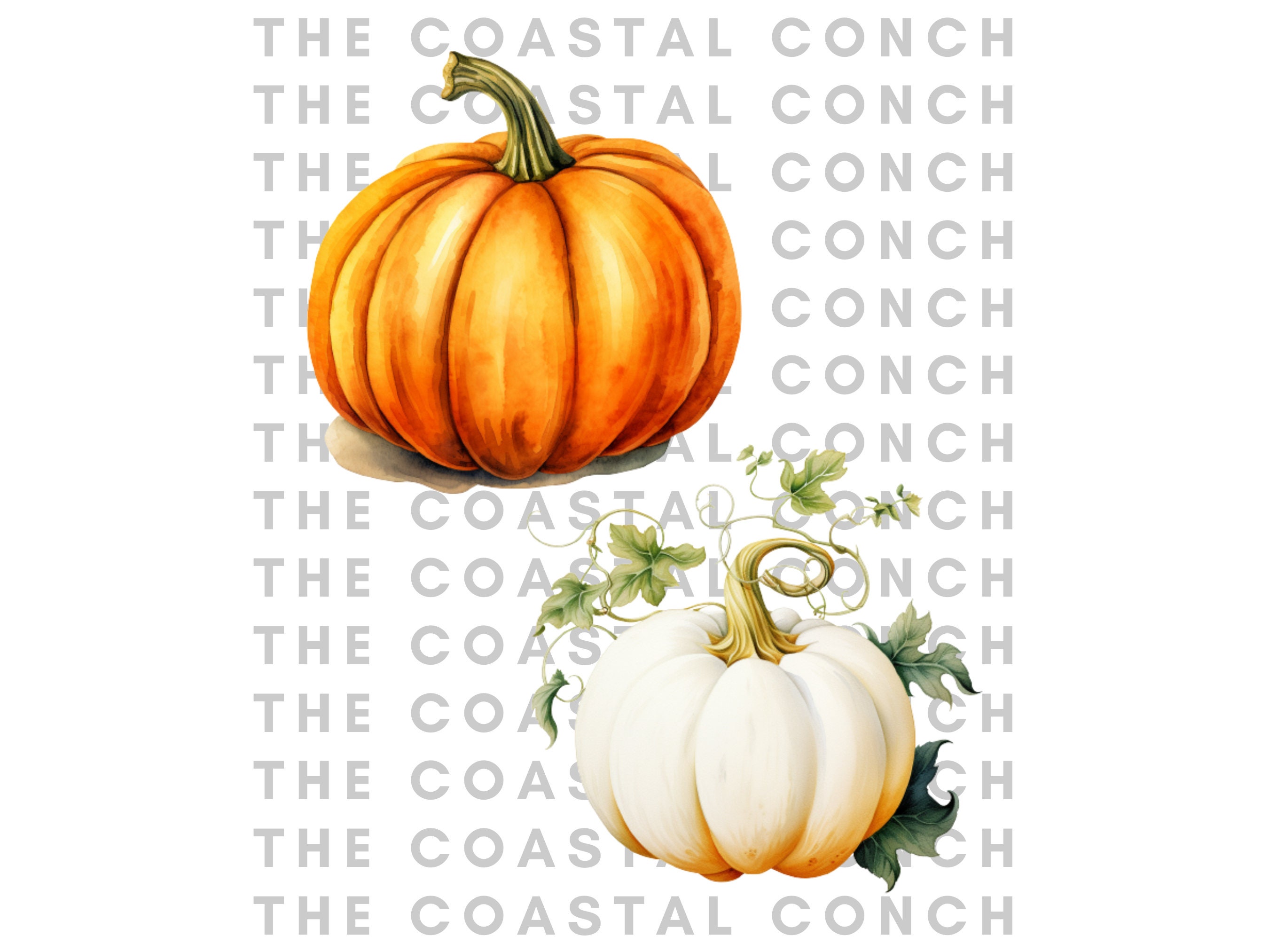 Fall Watercolor Pumpkin Clipart- 10 Transparent Background PNG ...