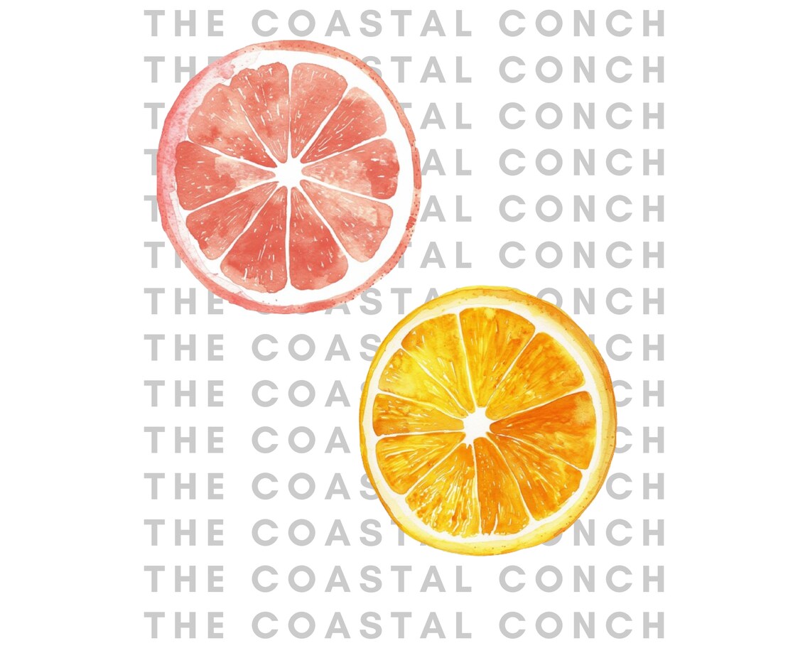 Colorful Watercolor Citrus Clipart 20 Transparent Background PNG ...