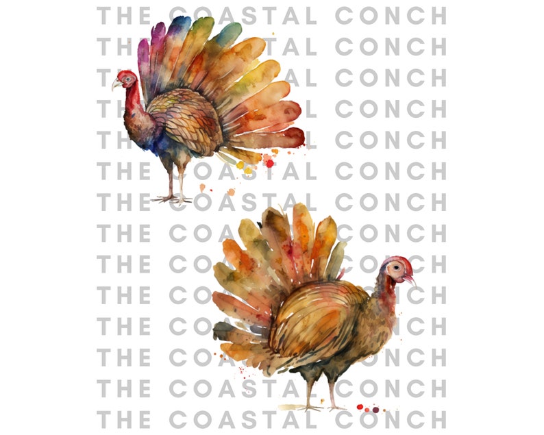 Watercolor Thanksgiving Turkey Clipart- 10 Transparent Background PNG ...
