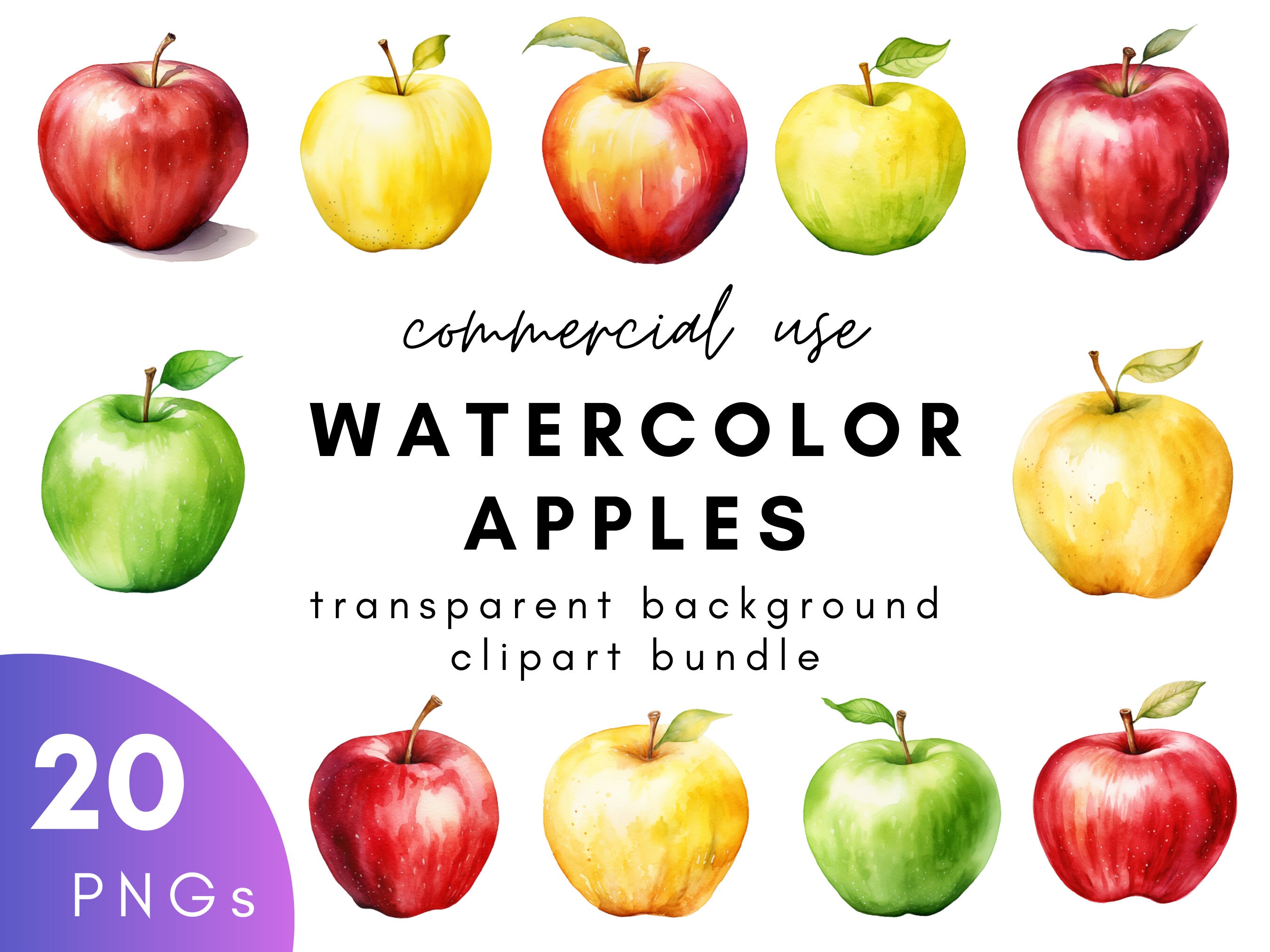 Autumn Watercolor Apple Clipart 20 Transparent Background PNG - Etsy