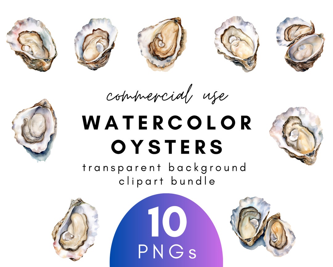Coastal Watercolor Oyster Clipart- 10 Transparent Background PNG ...