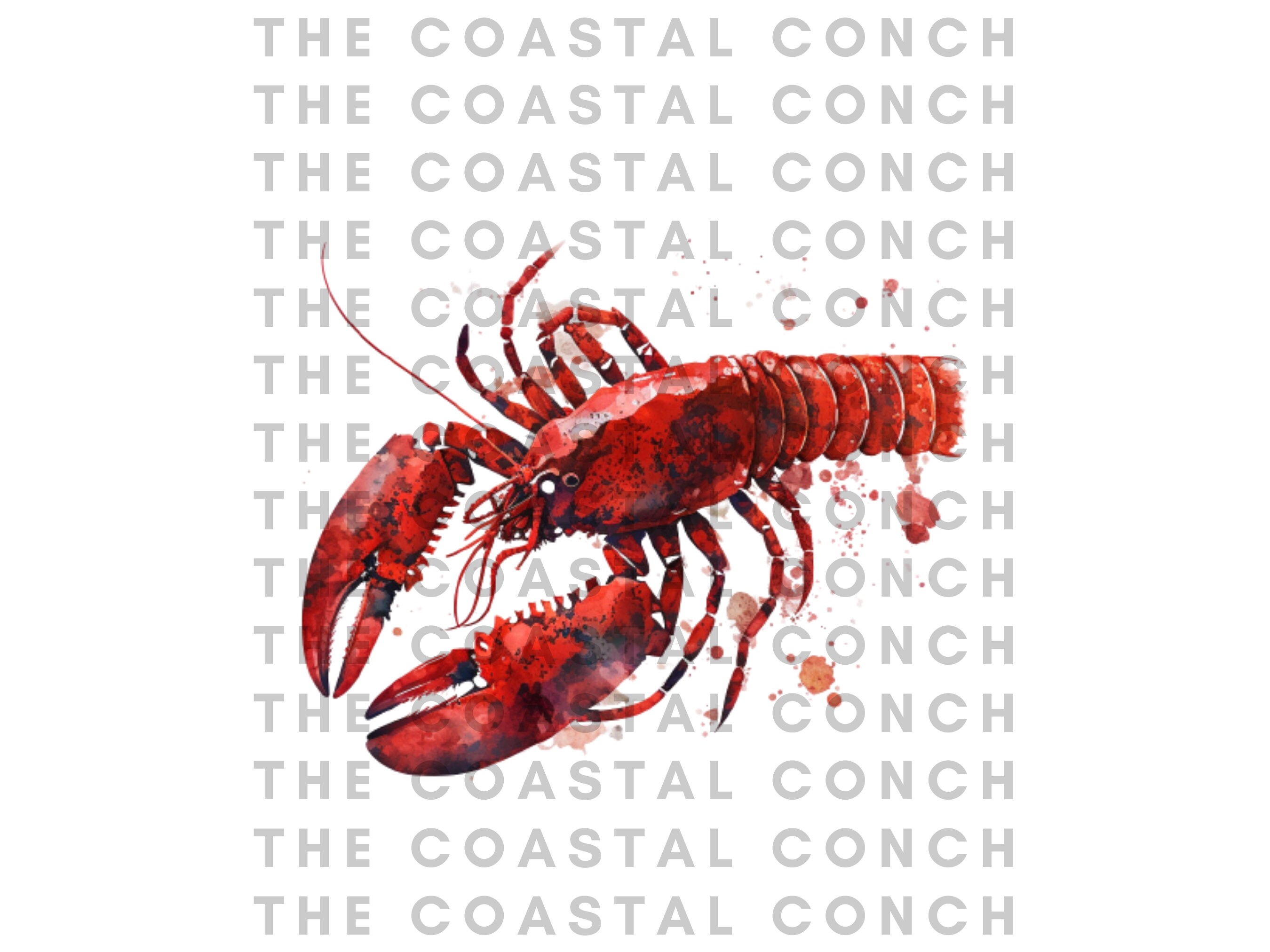 Nautical Watercolor Lobster Clipart- 10 Transparent Background PNG ...