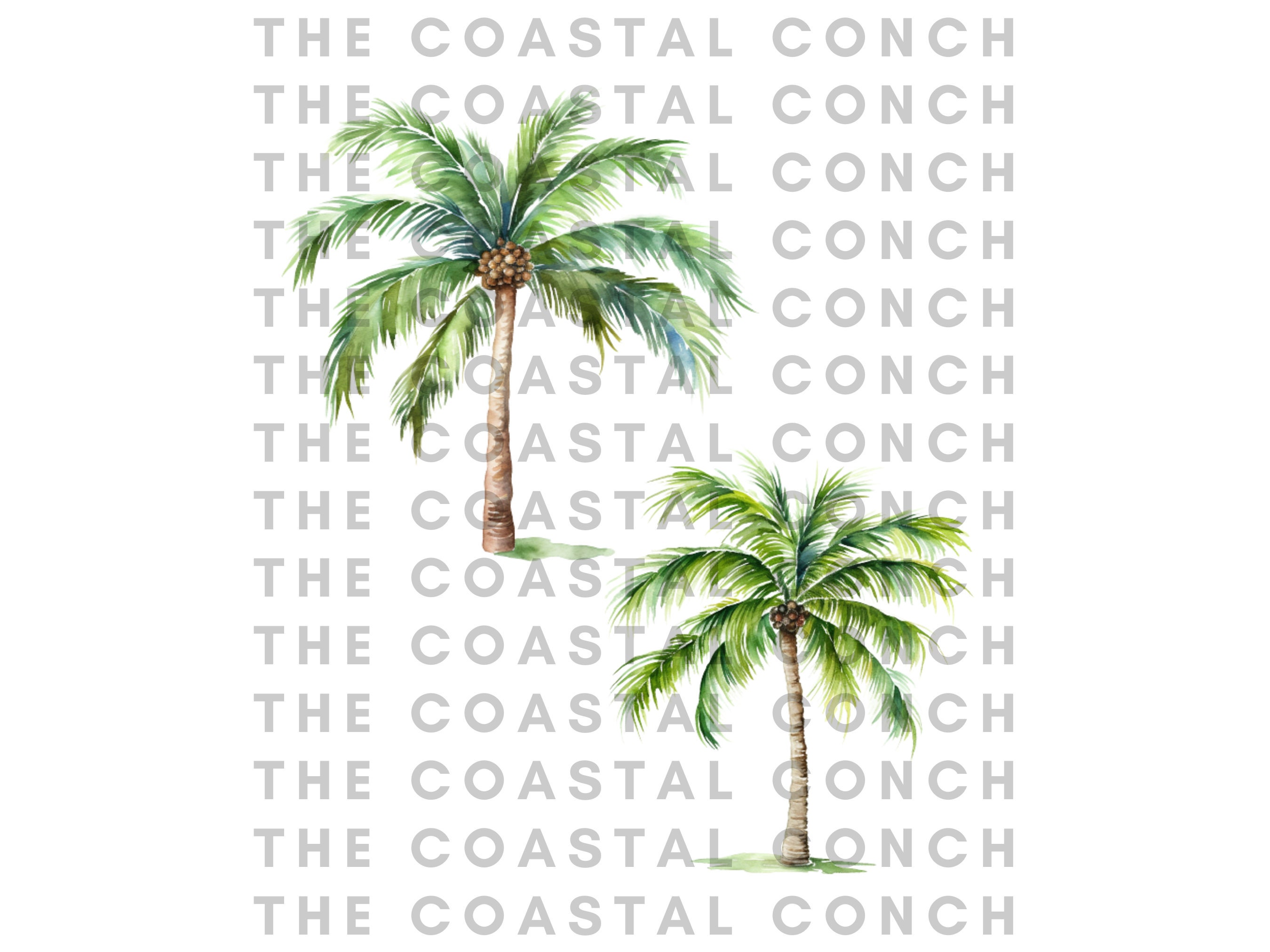 Watercolor Palm Tree Clipart- 10 Transparent Background PNG Commercial ...