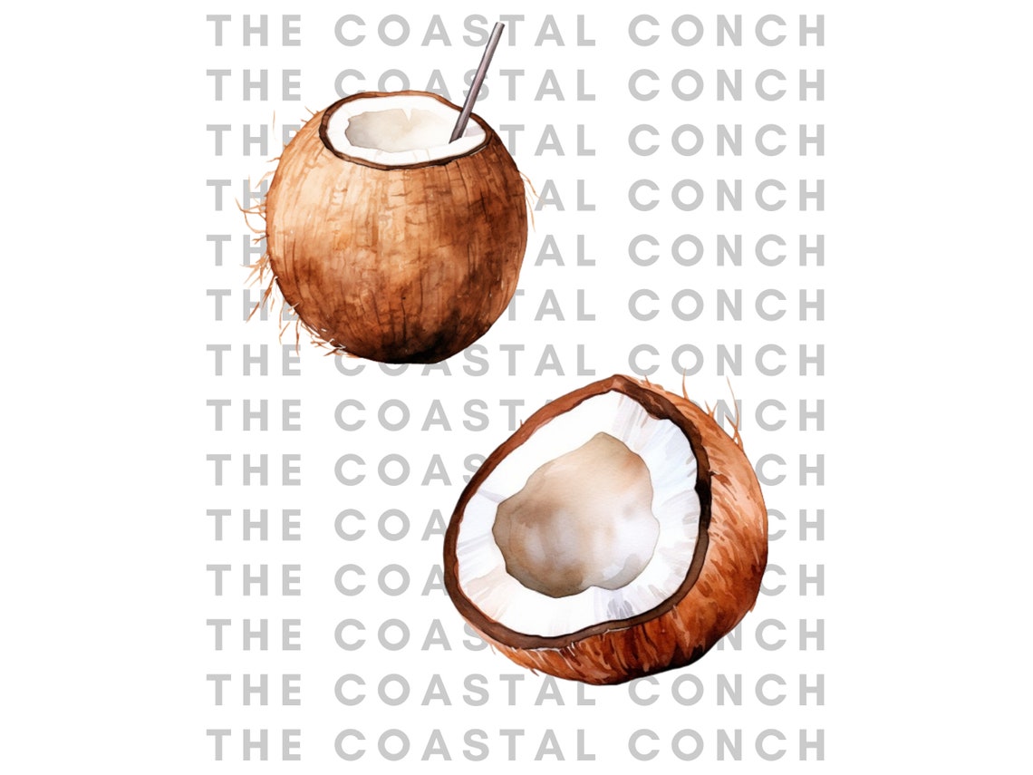 Tropical Watercolor Coconut Clipart- 10 Transparent Background PNG ...