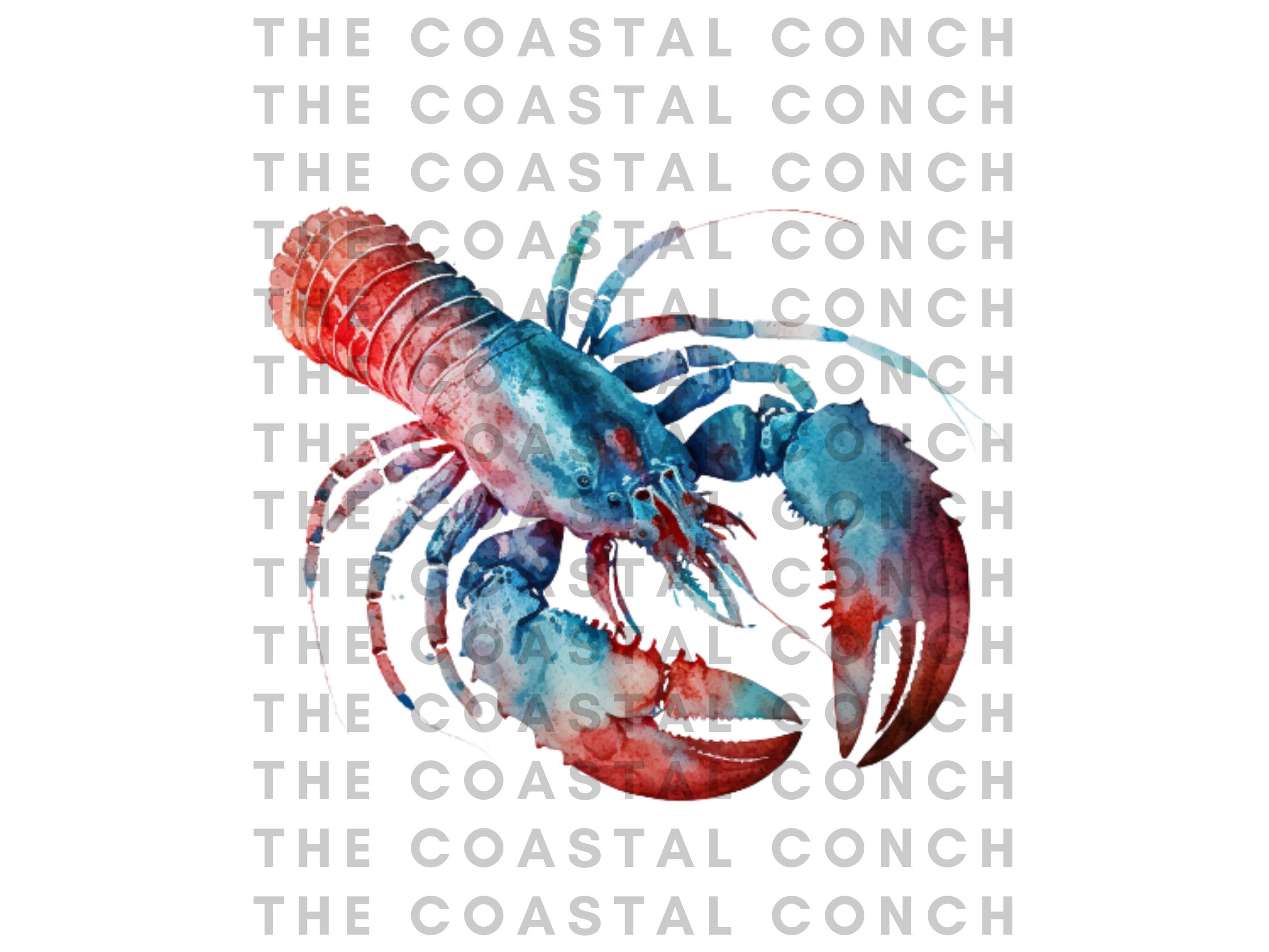 Nautical Watercolor Lobster Clipart- 10 Transparent Background PNG ...