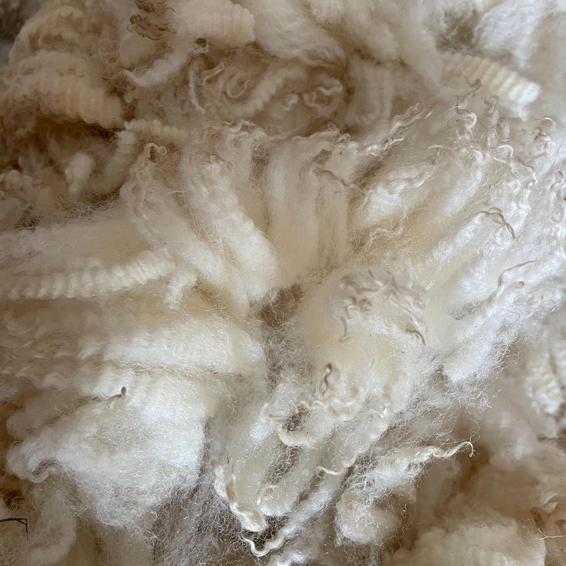 Natural Raw Wool Fabric - Etsy UK