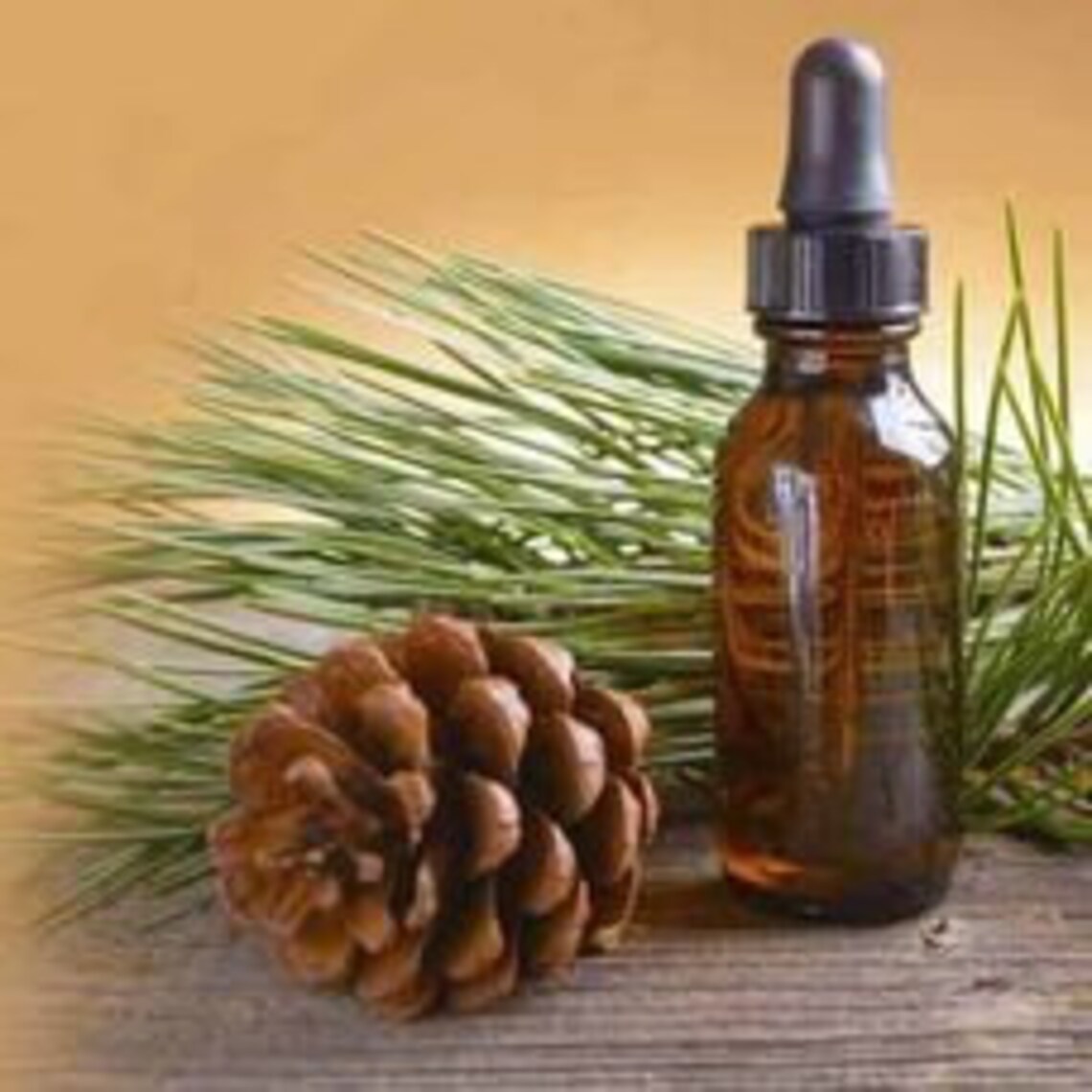 PINE TURPENTINE Thinner diluent for Lustre Luster Heraeus - Etsy