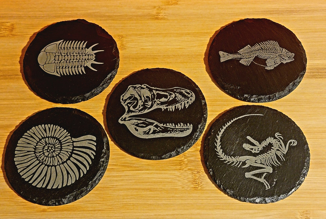 Dinosaur Laser Engraved Fossil Coasters - Set of 5 - Etsy