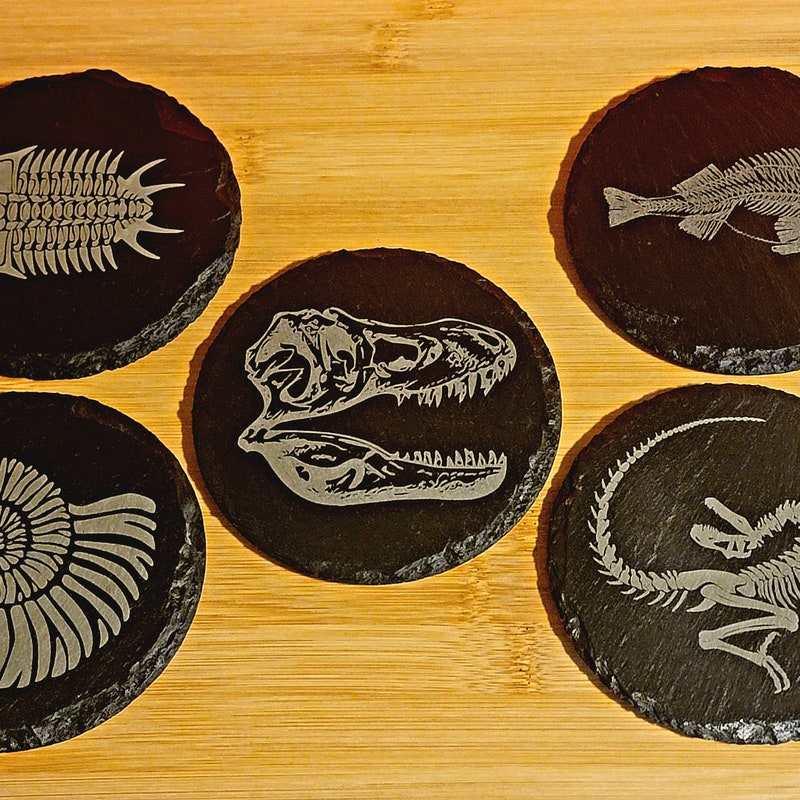 Dinosaur Coaster - Etsy