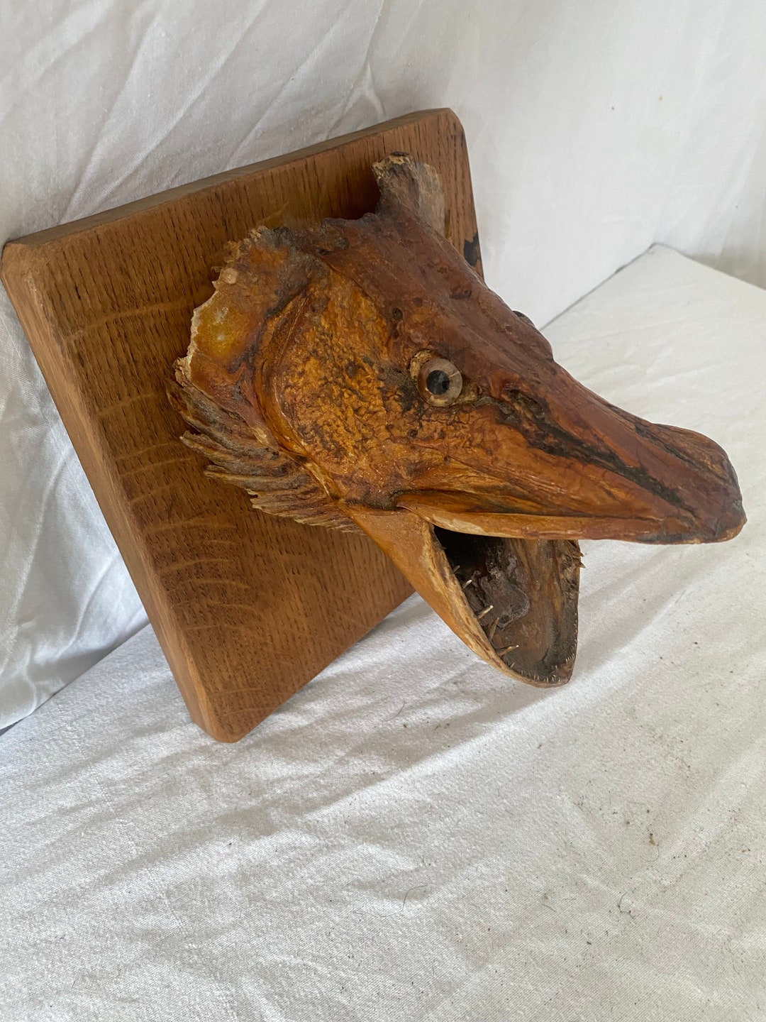 Taxidermy Pike Fish Head Wall Hanging Mount - Etsy