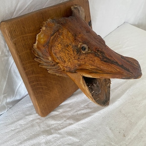 Taxidermy Pike Fish Head Wall Hanging Mount - Etsy