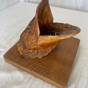 Taxidermy Pike Fish Head Wall Hanging Mount - Etsy