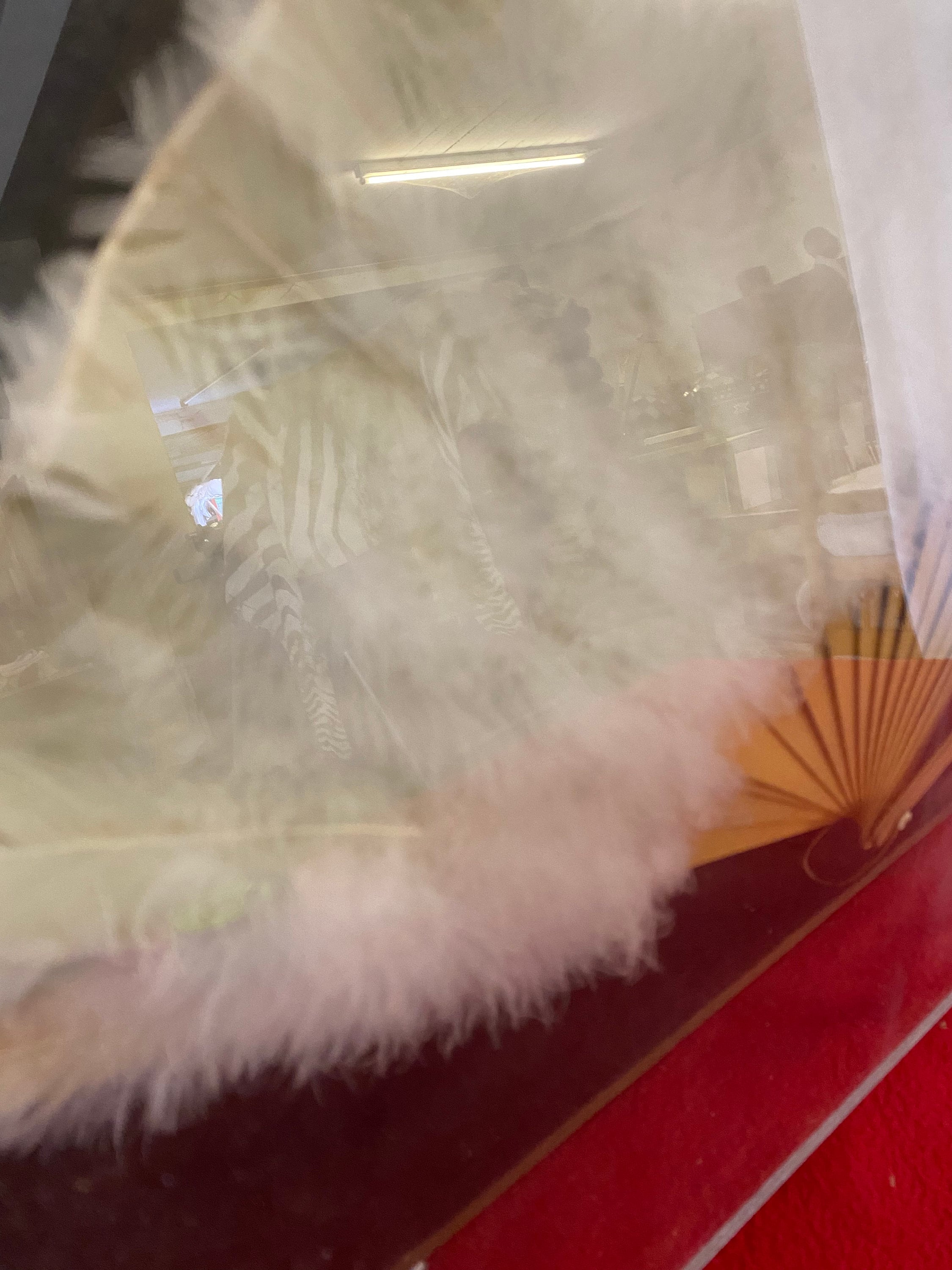 Antique Ostrich Feather Fan C1900 in Perspex Case - Etsy
