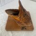 Taxidermy Pike Fish Head Wall Hanging Mount - Etsy