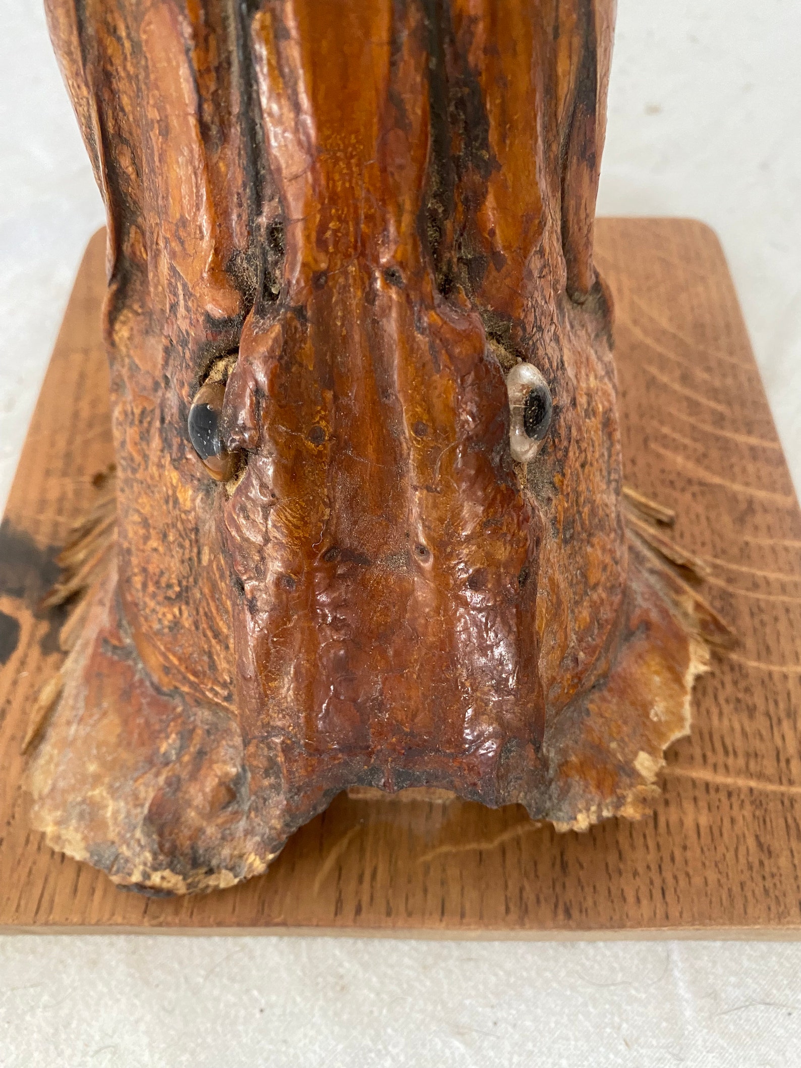 Taxidermy Pike Fish Head Wall Hanging Mount - Etsy