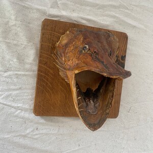Taxidermy Pike Fish Head Wall Hanging Mount - Etsy