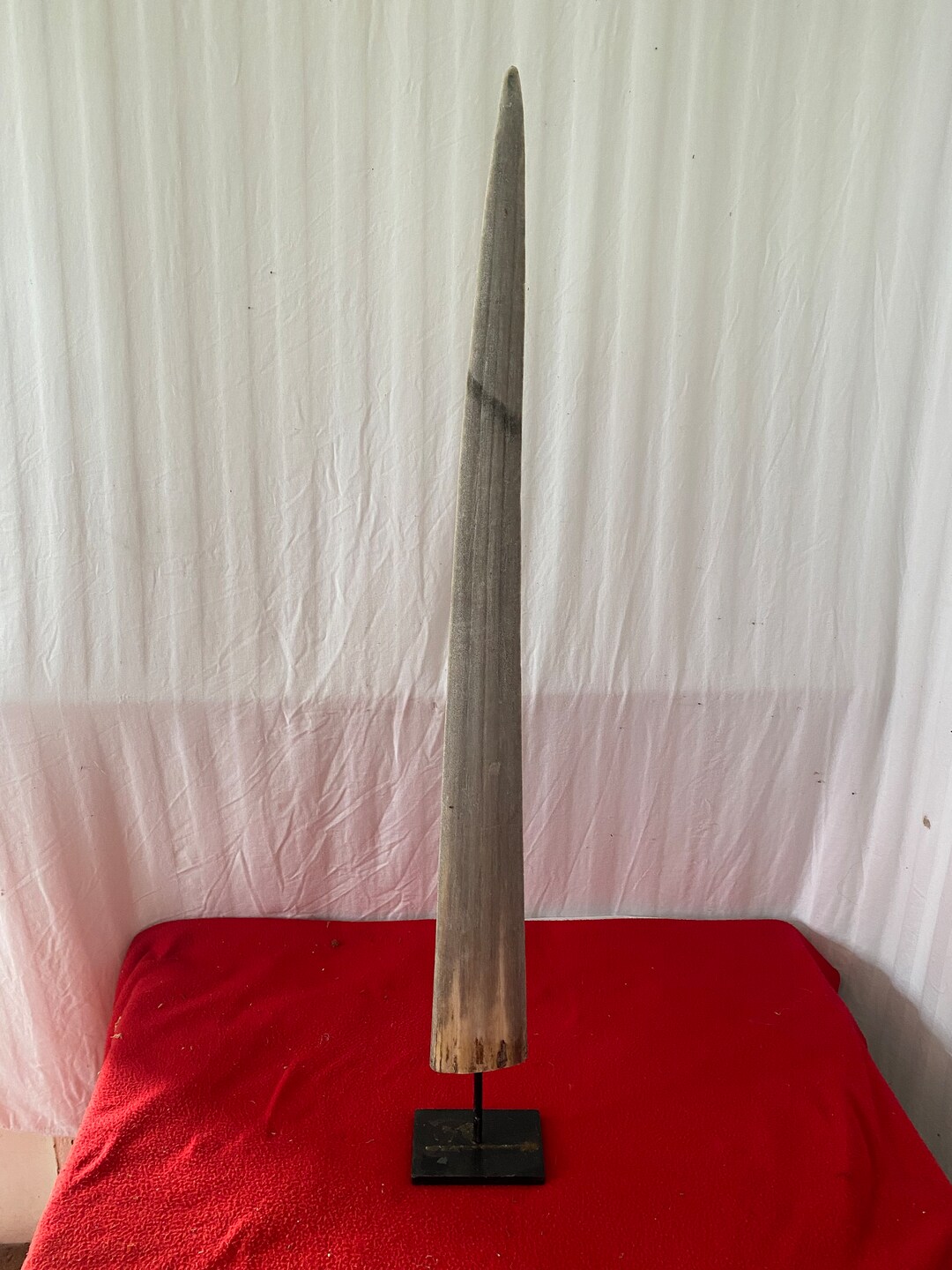 Taxidermy Pre 1947 Broadbill Swordfish Rostrum Mounted on Metal Base - Etsy