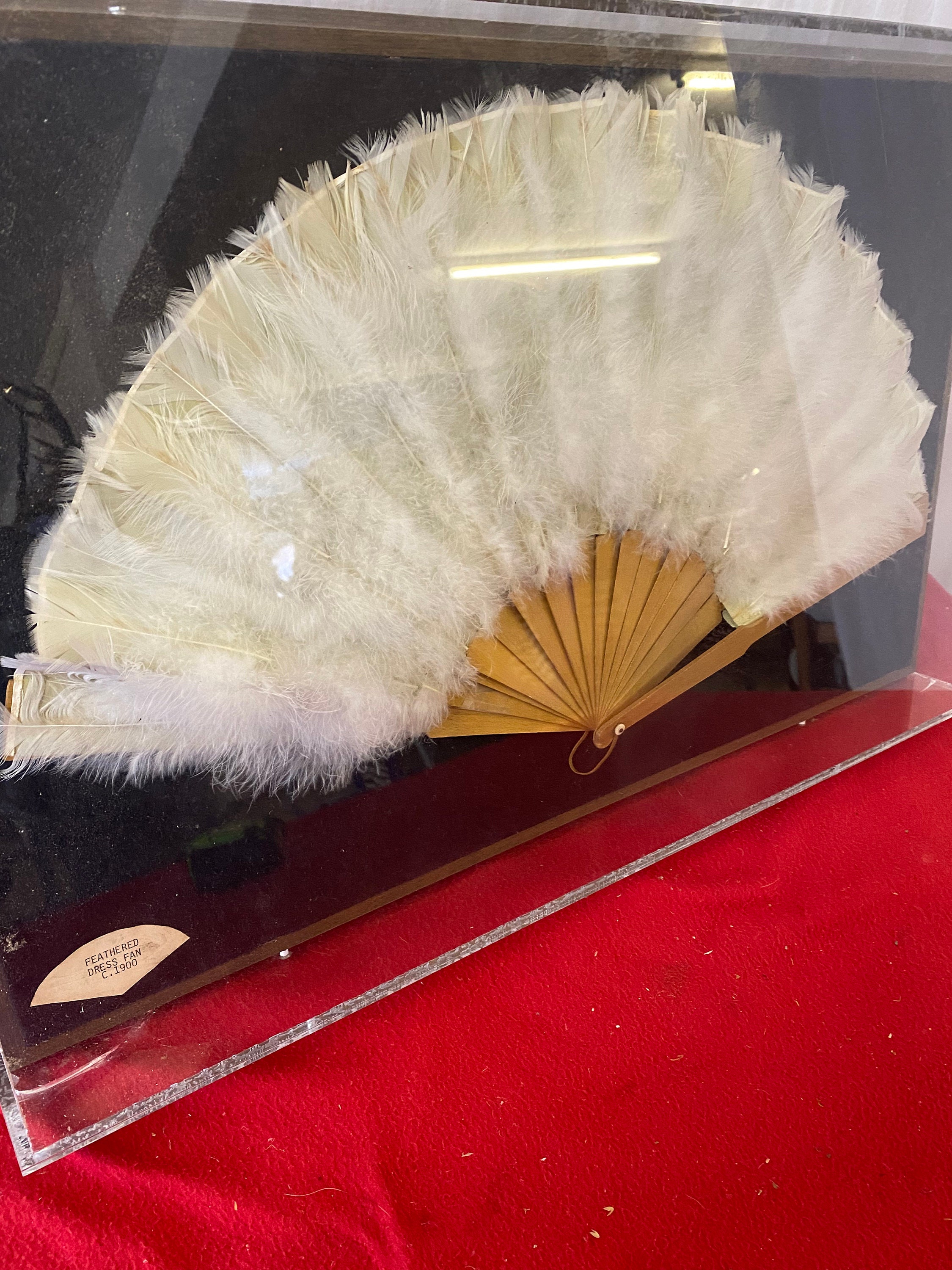 Antique Ostrich Feather Fan C1900 in Perspex Case - Etsy
