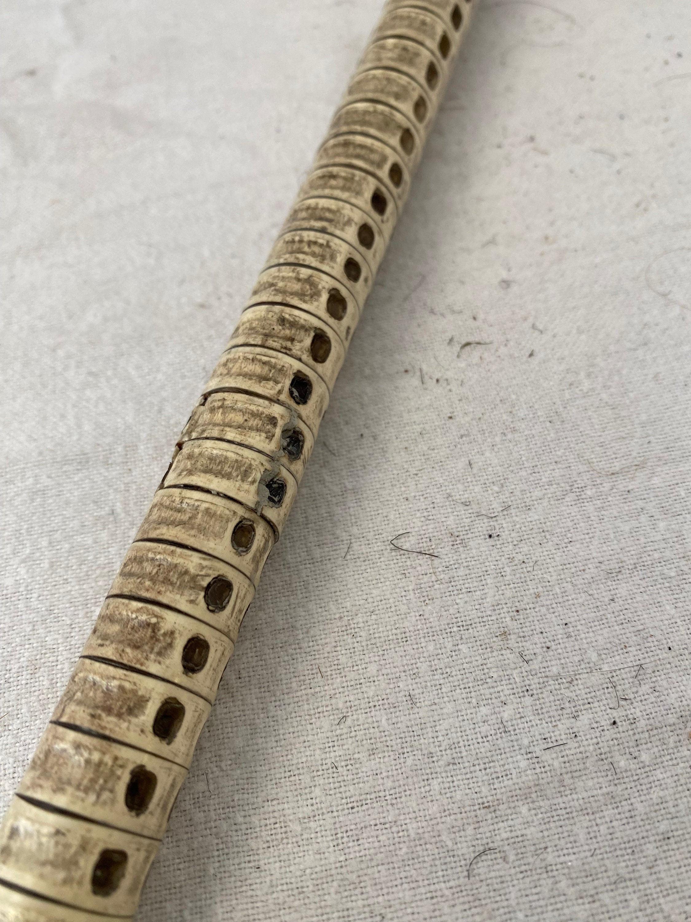 Vintage Taxidermy Shark Vertebra Walking Stick Cane - Etsy UK