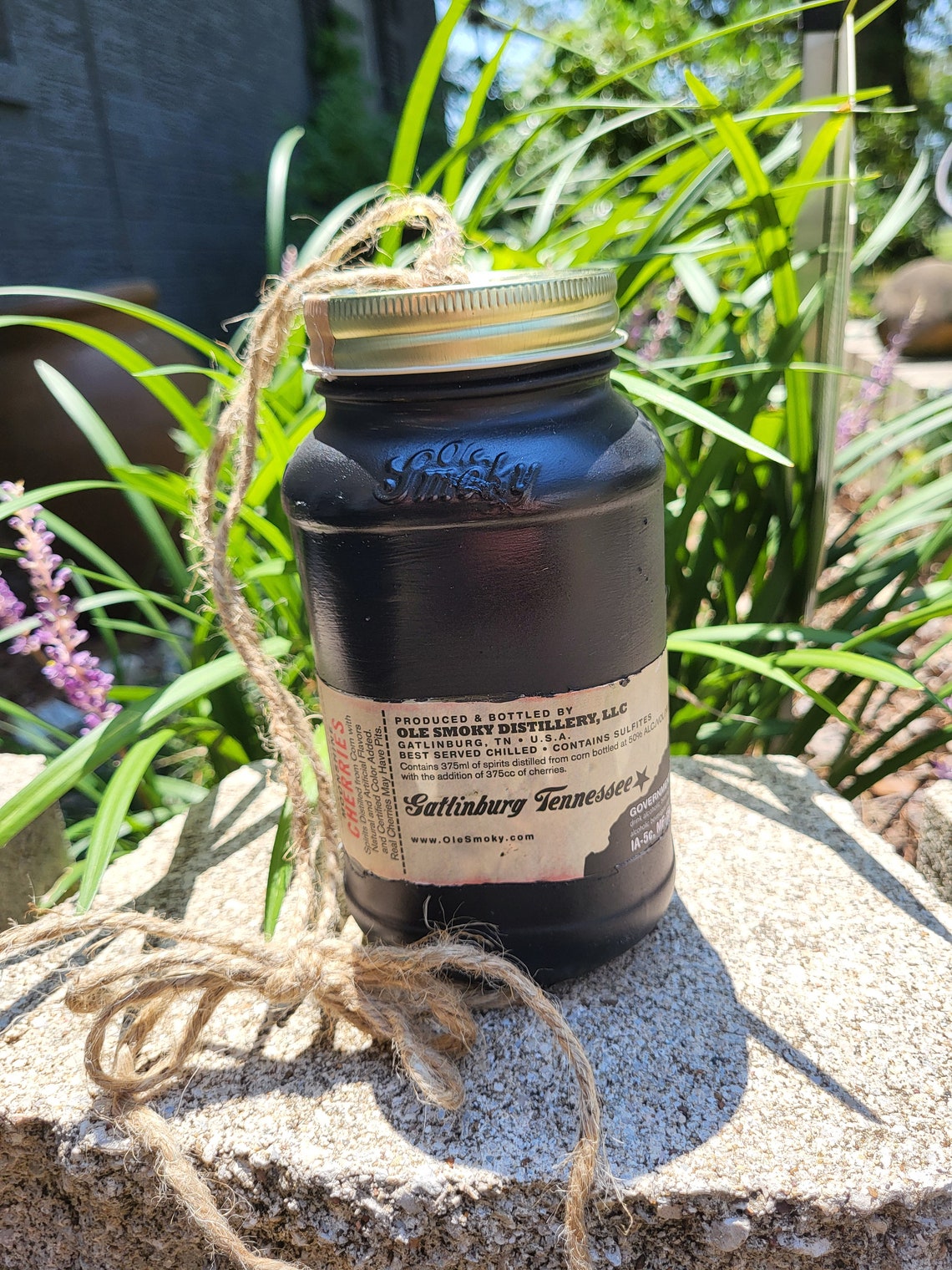 Refurbished Mason Jar Fly Traps-no Gross Scenery-lg. 30 Oz. - Etsy