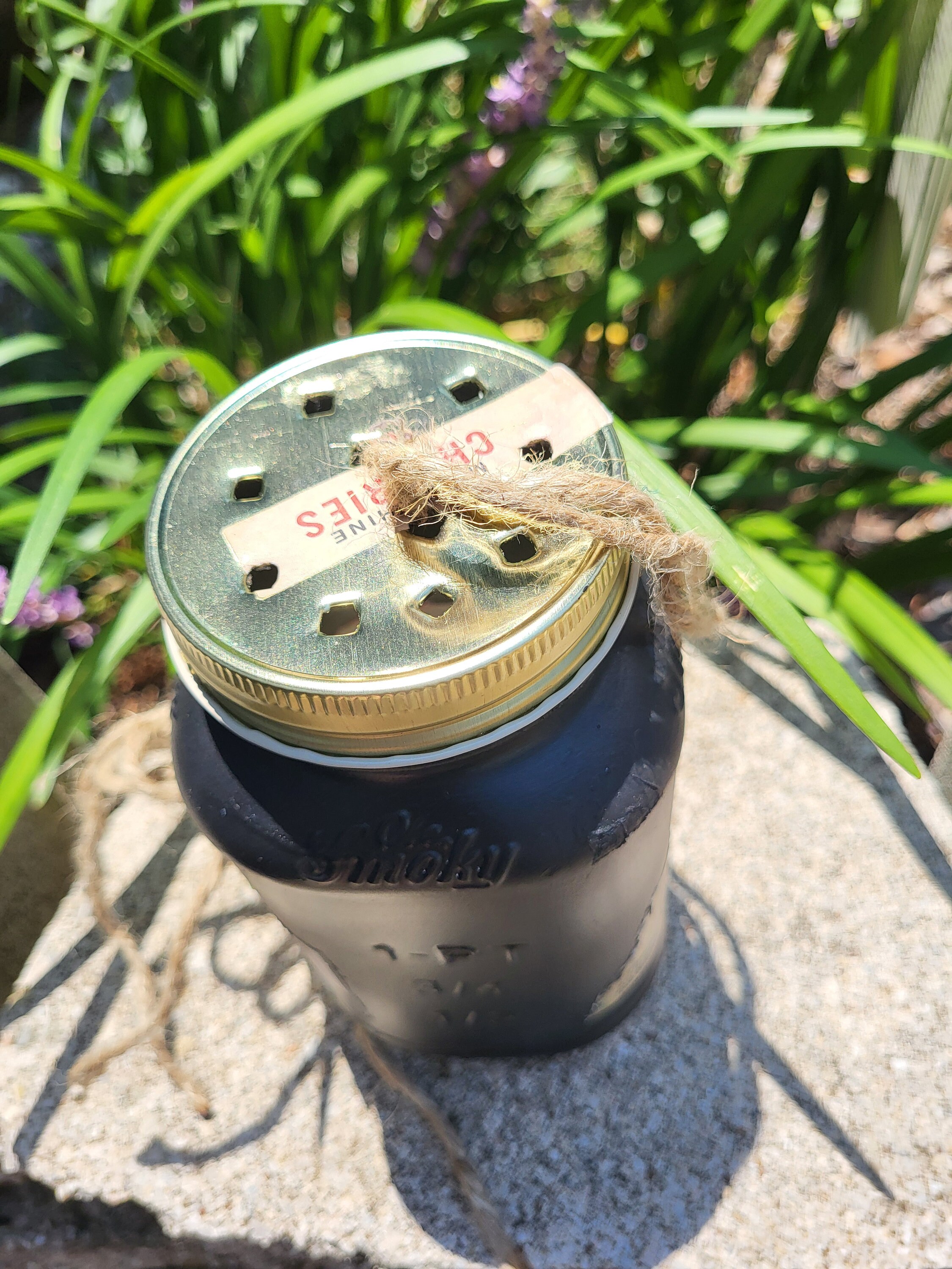 Refurbished Mason Jar Fly Traps-no Gross Scenery-lg. 30 Oz. - Etsy