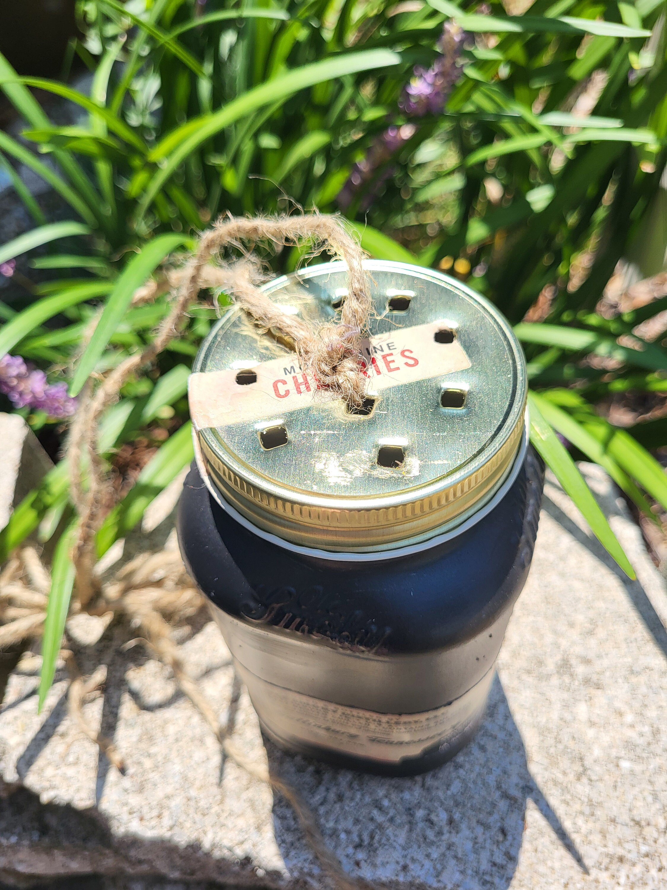 Refurbished Mason Jar Fly Traps-no Gross Scenery-lg. 30 Oz. - Etsy