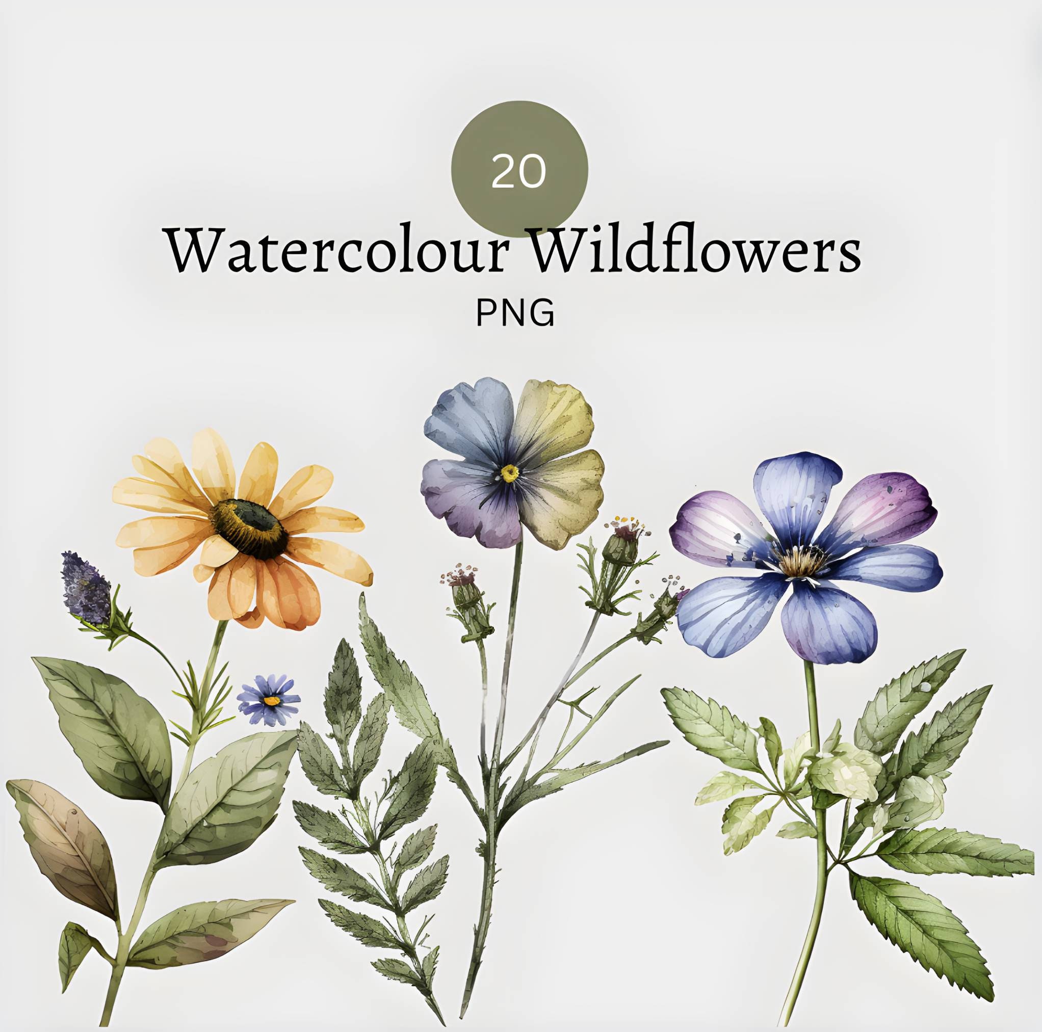 Wildflower Clipart - Watercolor Wild Flowers - Floral Clipart - Premade ...