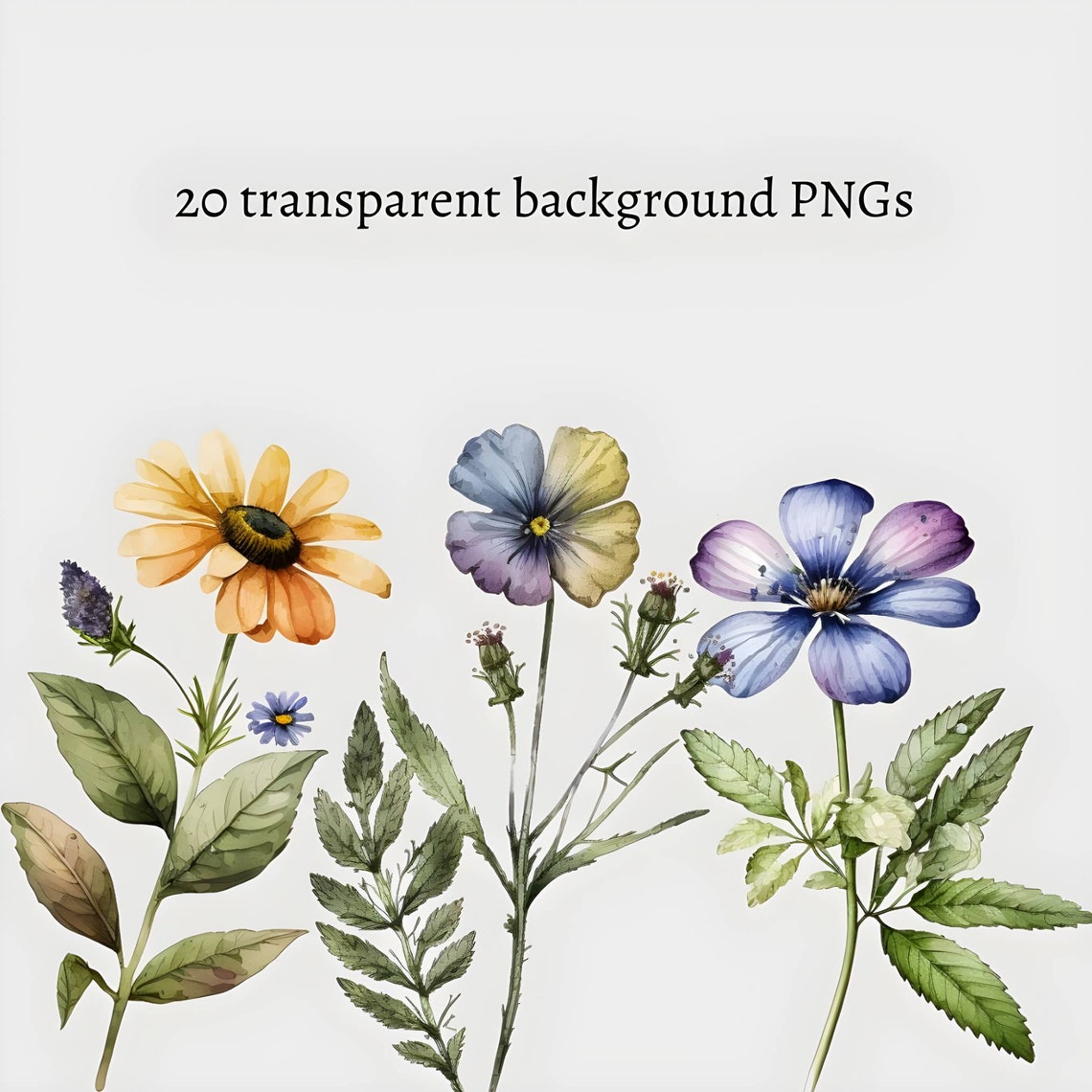 Wildflower Clipart - Watercolor Wild Flowers - Floral Clipart - Premade ...