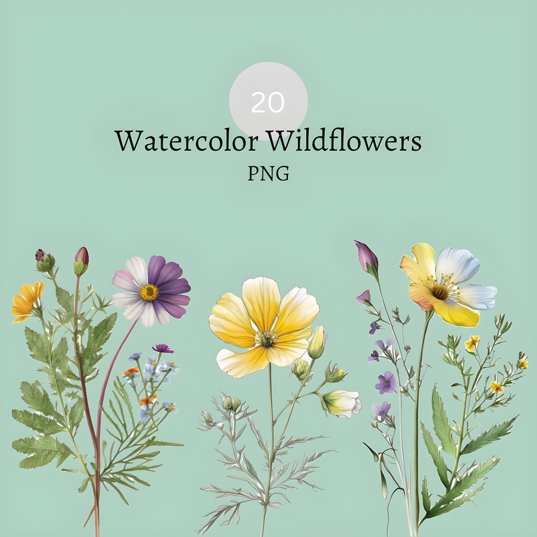 Watercolour Wild Flowers - Wildflower Clipart - Watercolor Floral ...