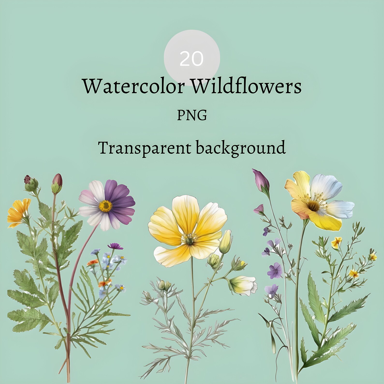 Watercolour Wild Flowers - Wildflower Clipart - Watercolor Floral ...