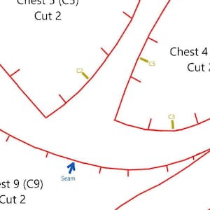 Sister of Battle Chest Armor Pattern for EVA Foam - Etsy