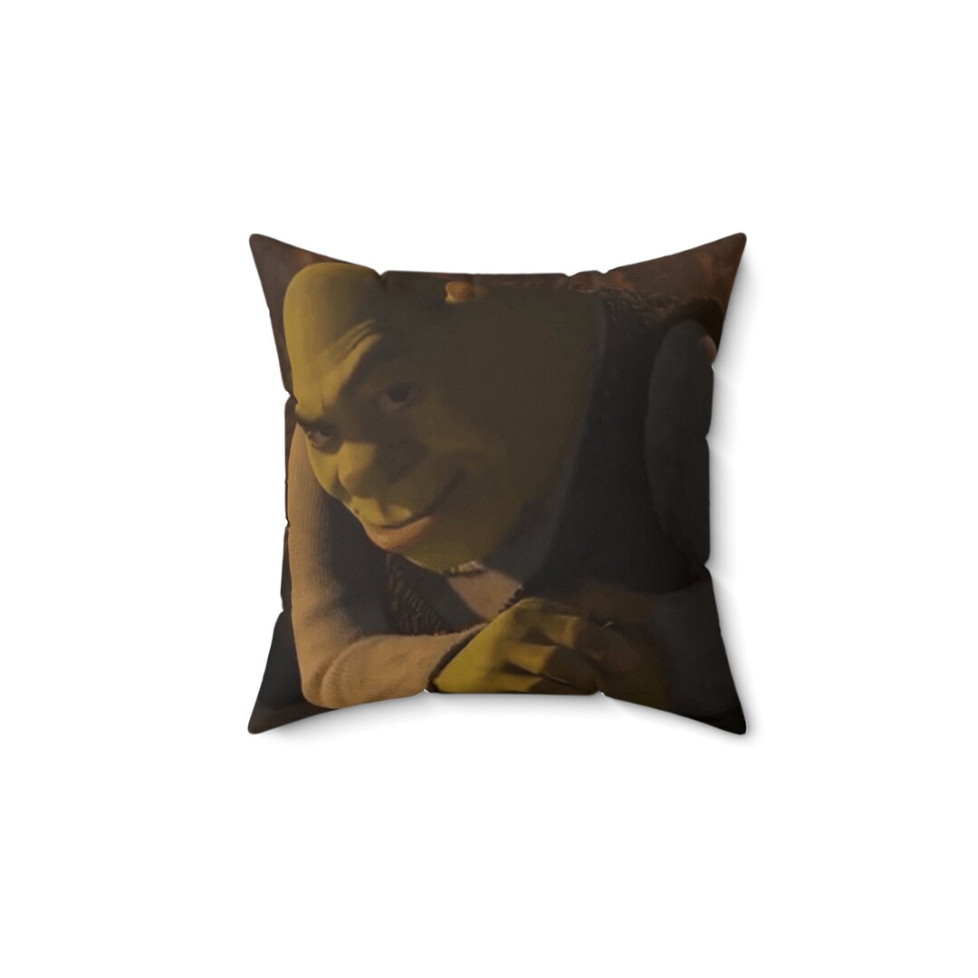 Shrek Rizz Meme - Spun Polyester Square Pillow - Funny Pillow/ Meme ...