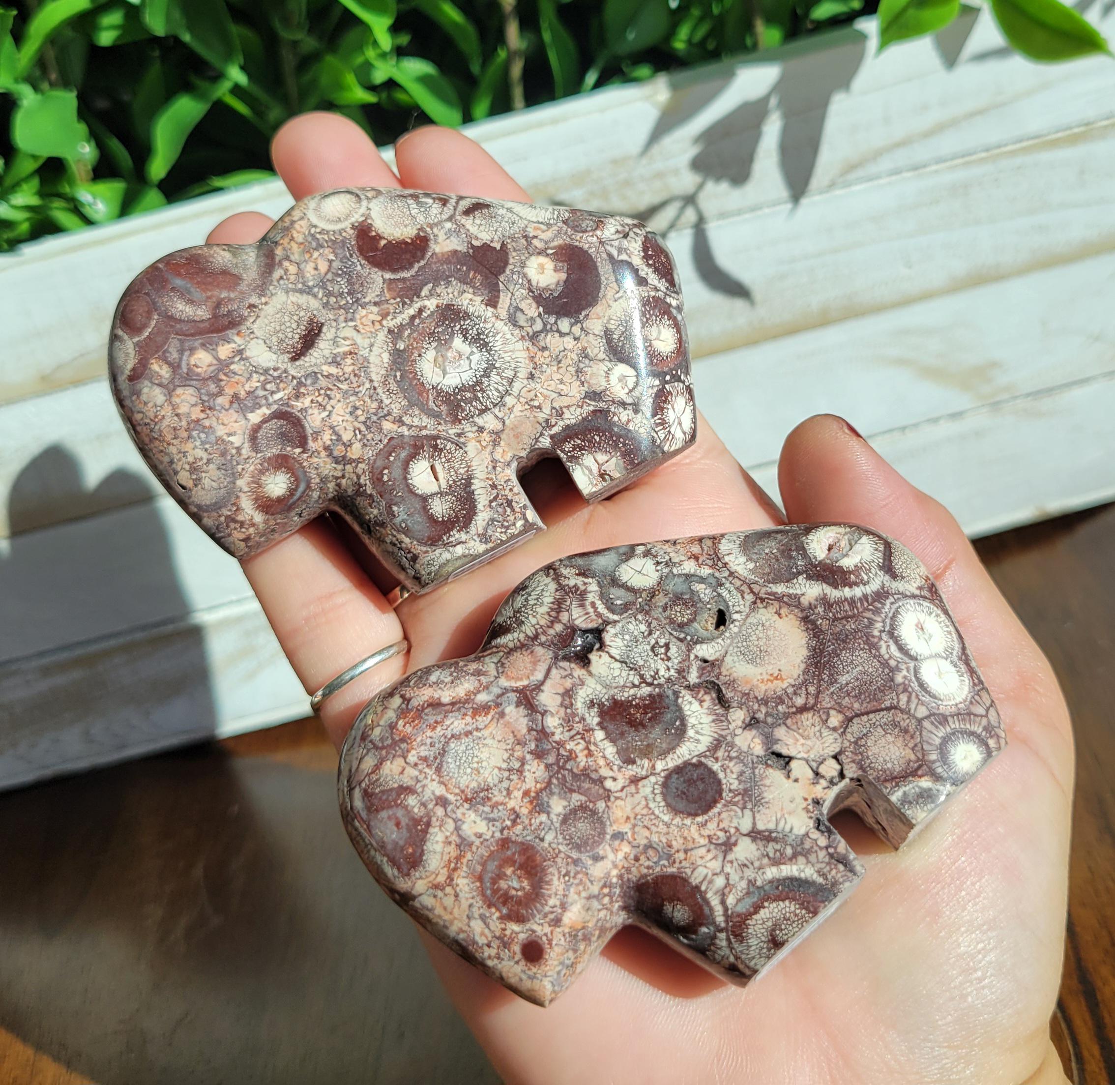 Bird's Eye Rhyolite Buffalo Carving - Etsy