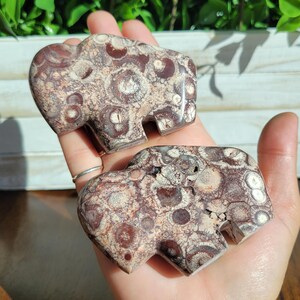 Bird's Eye Rhyolite Buffalo Carving - Etsy