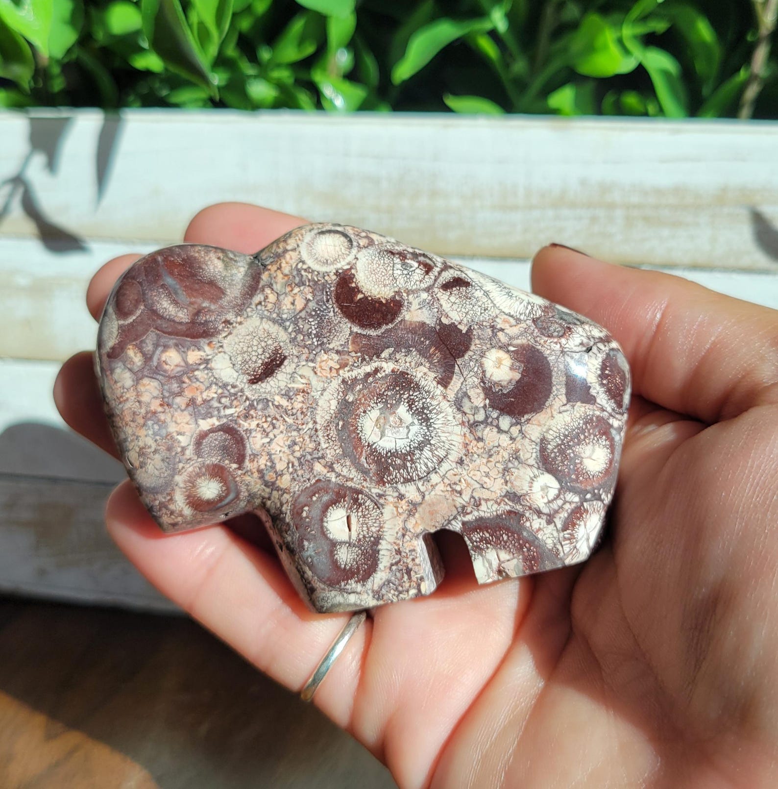 Bird's Eye Rhyolite Buffalo Carving - Etsy