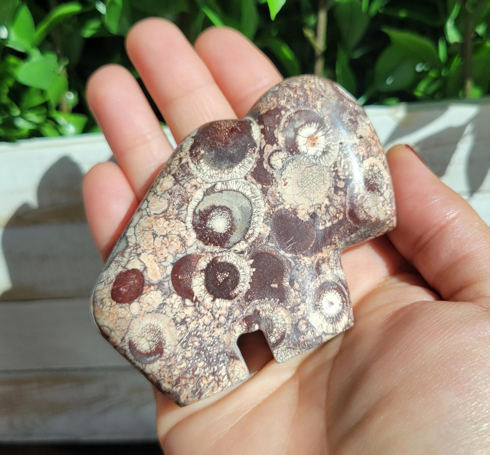 Bird's Eye Rhyolite Buffalo Carving - Etsy