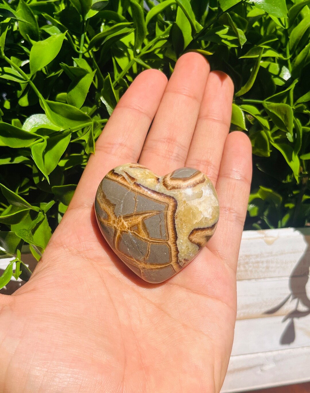 Septarian Heart, Healing Crystal 2" - Etsy