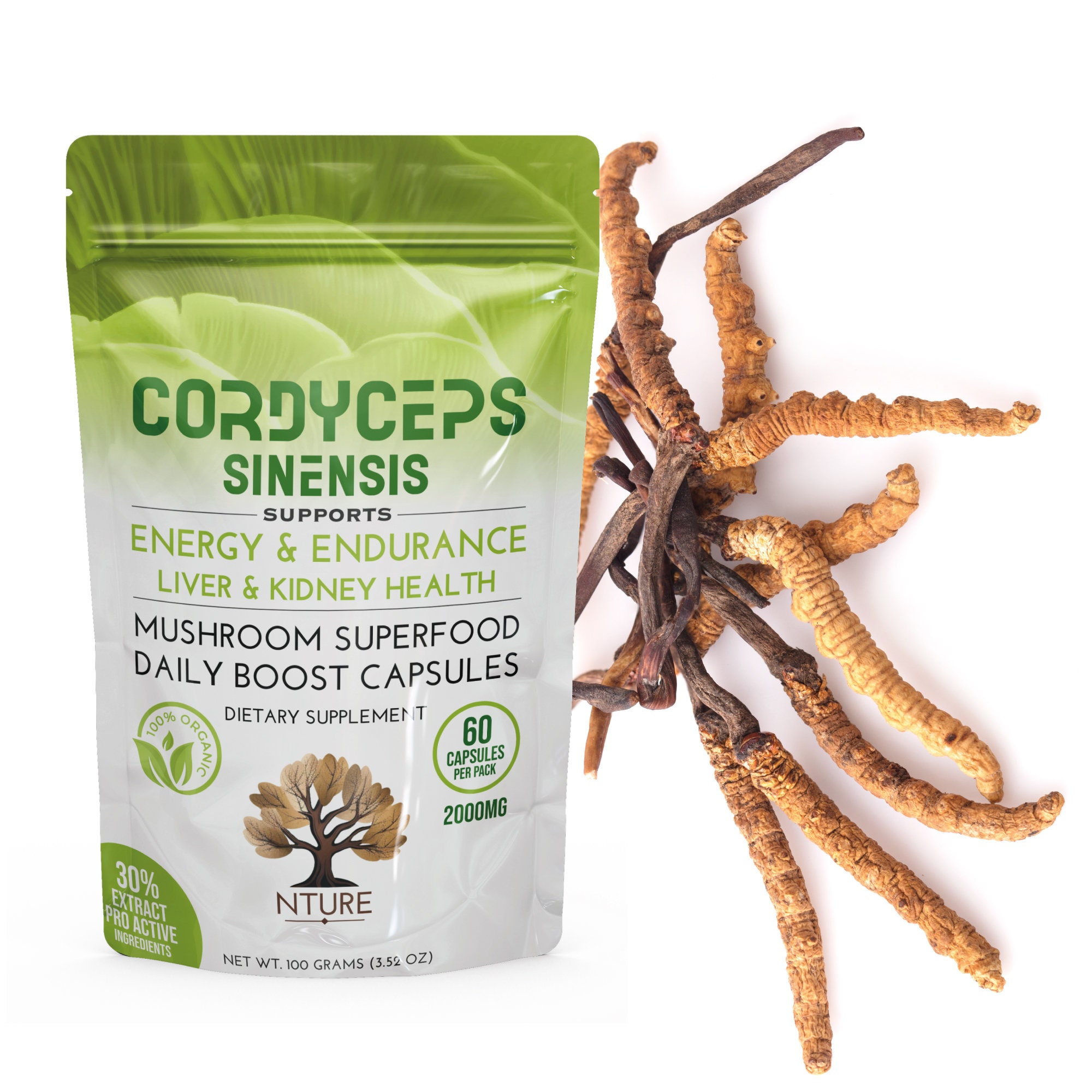 Cordyceps Sinensis Capsules
