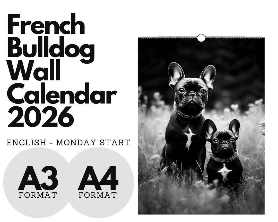 English French Bulldog Wall Calendar 2026 / Cute Frenchie Dog Calendar ...