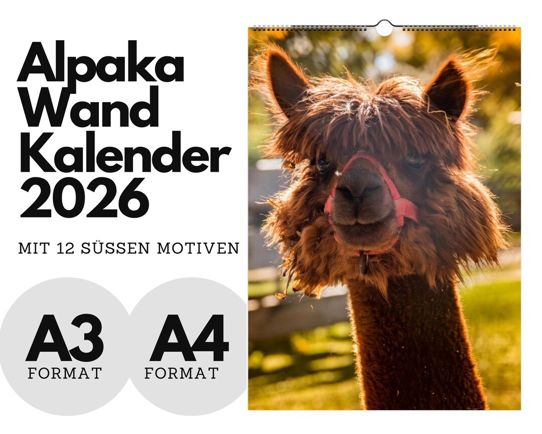 Alpaca Wall Calendar 2026 / A3 or A4 Format - Etsy