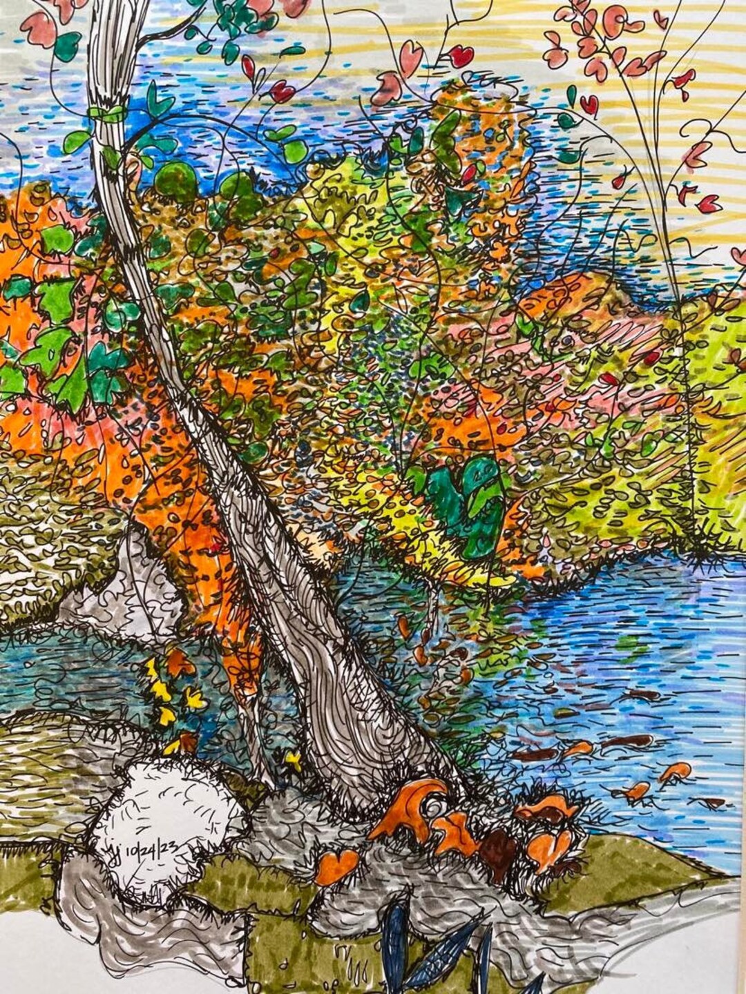 Original Pen and Ink Pond Drawing, Black Framed Wall Art (12x16) - Etsy
