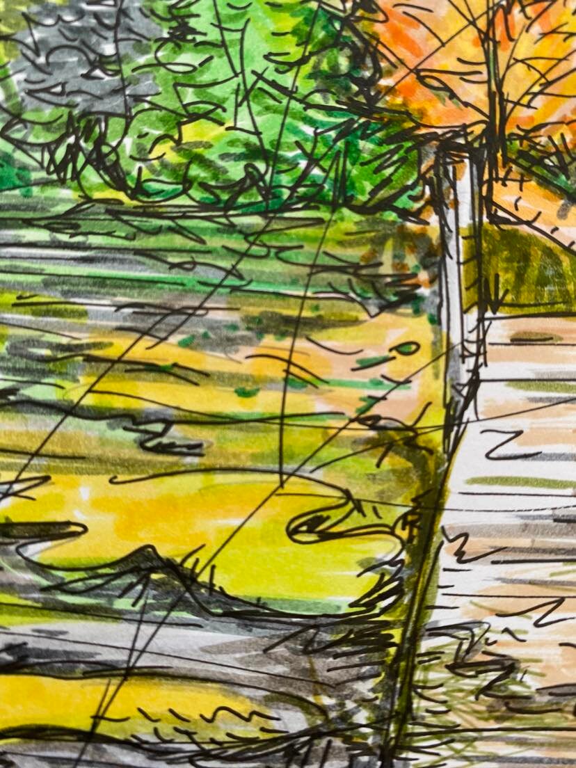 Hand Drawn, Dead Tree, is an Original 8 X 10 of Our Backyard Pond. It ...