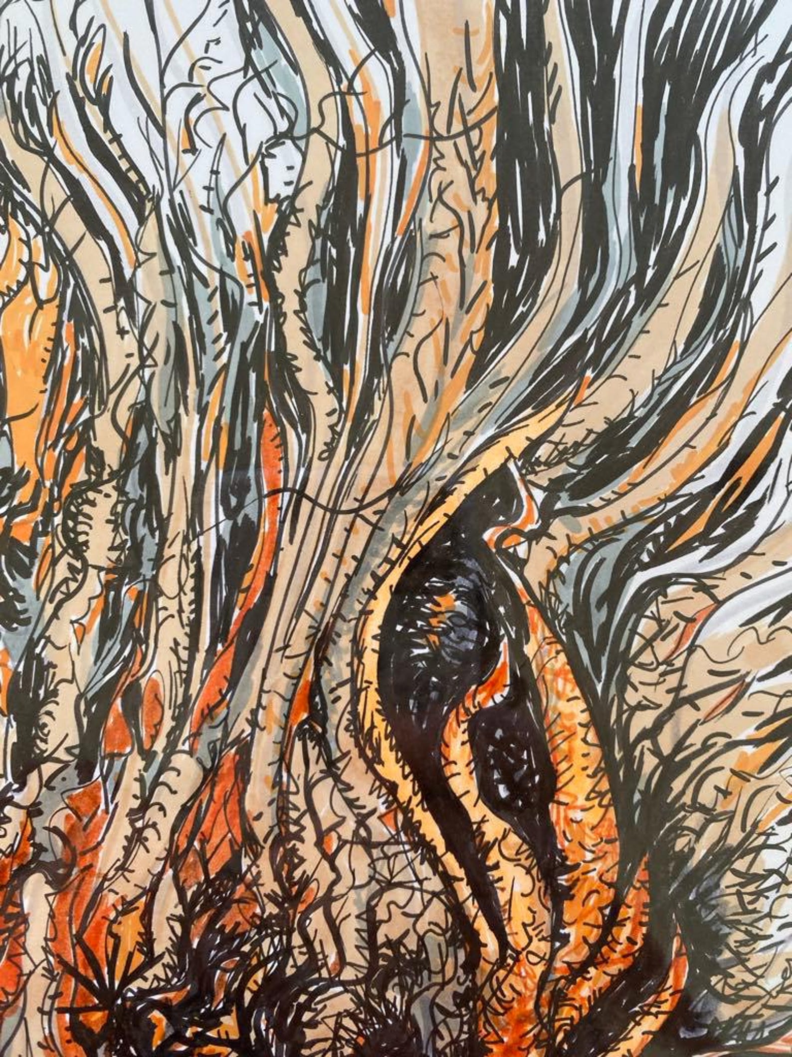 Hand Drawn, Campfire, is a 9" X 12" Pen and Ink Marker Illustration of ...