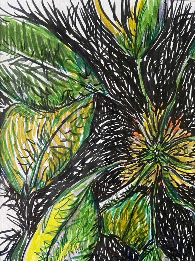 Schefflera Plant Drawing, Pen and Ink, Framed Botanical Art - Etsy