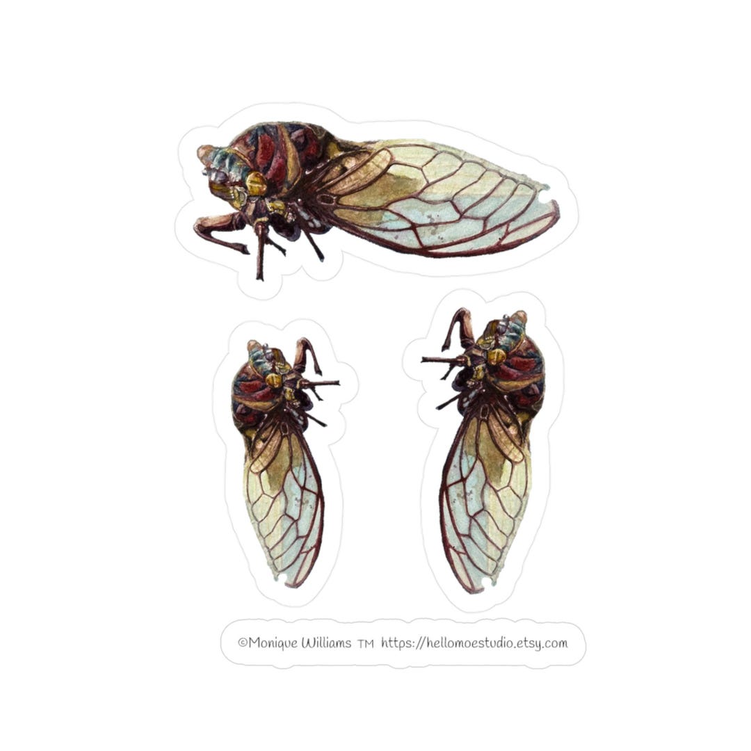 Sticker: Cicada, (kiss-cut Vinyl Decals), Water, Scratch and UV ...