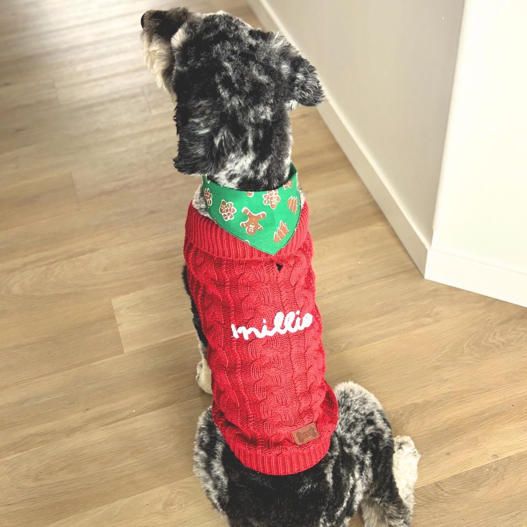 Personalized Dog Sweater, Custom Hand Embroidered Pet Name Jumper, Cozy ...