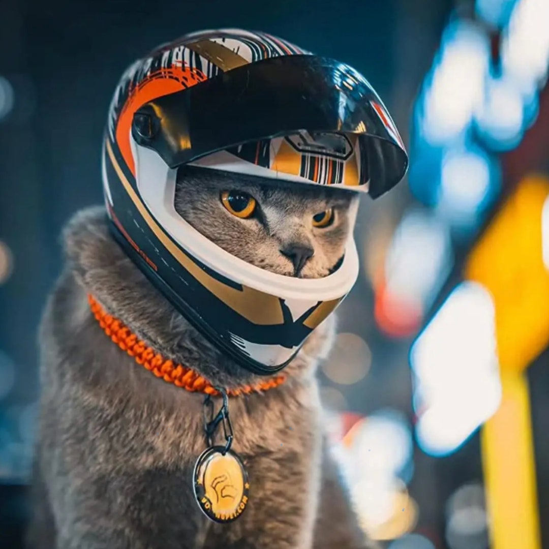 Cat Helmet Mini Pet Motorcycle Helmet for Cats and Dogs Pet Accessories ...