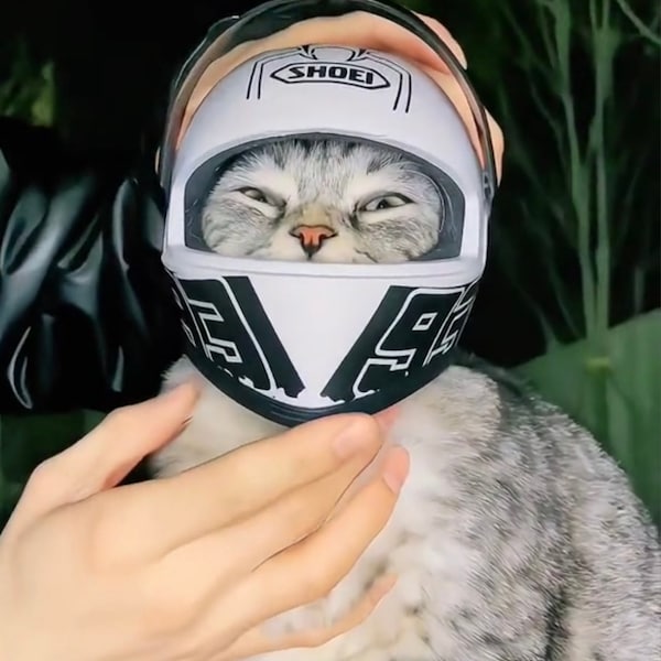 Motorcycle Helmet for Cat - Etsy