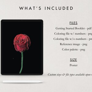 Red Rose Paint by Number Kit Adult | Printable & Digital Download Art ...